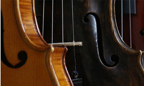 Texas Violin Shop